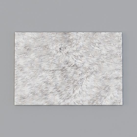 Furry Rug 3D model