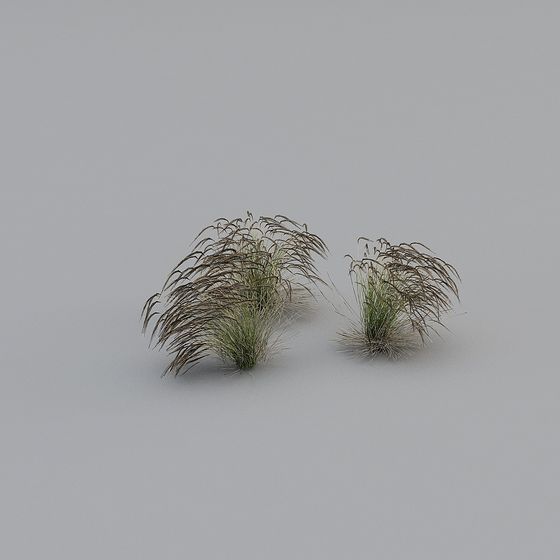 Elegant Low-Polygon Grass 3D Model
