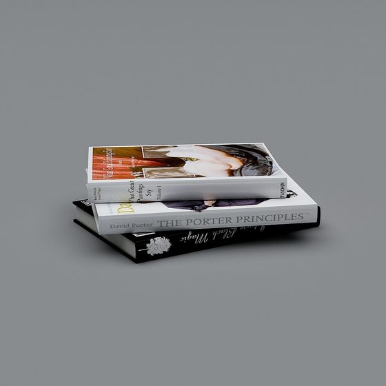 Detailed 3D Model of The Porter Principles Books