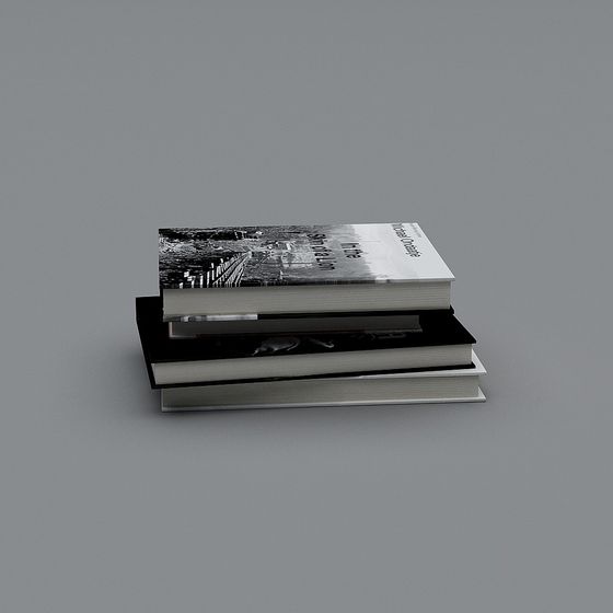 Urban Book Stack 3D model