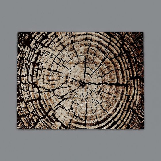 Ancient Tree Stump 3D model