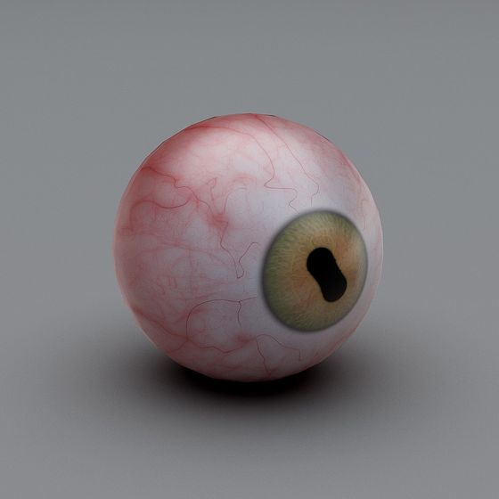 Realistic Low-Poly Eyeball 3D Model