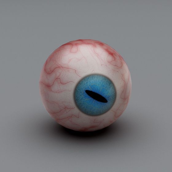Highly Detailed Eye 3D Model