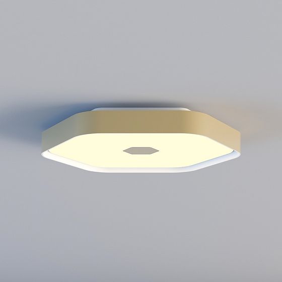 Elegant Hexagonal Ceiling Light 3D model