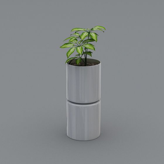 Stylish Low-Poly Potted Plant 3D Model – Modern Grey Pot