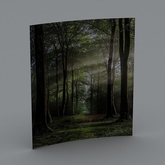 Mysterious Forest Path 3D model