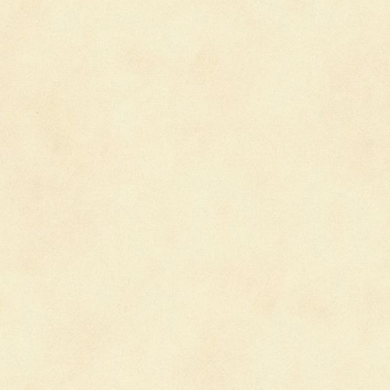 Asian Paint Palette,Wood color