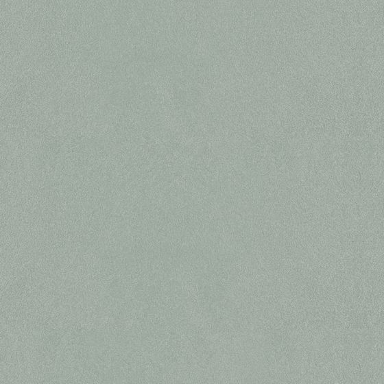 Athens Velvet Gray Wall Paint 3D Model – Smooth Texture
