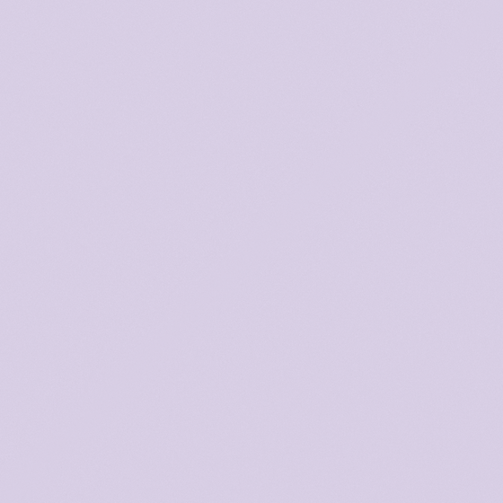 Purple Wall Paint 3D Model – Bold Interior Finish
