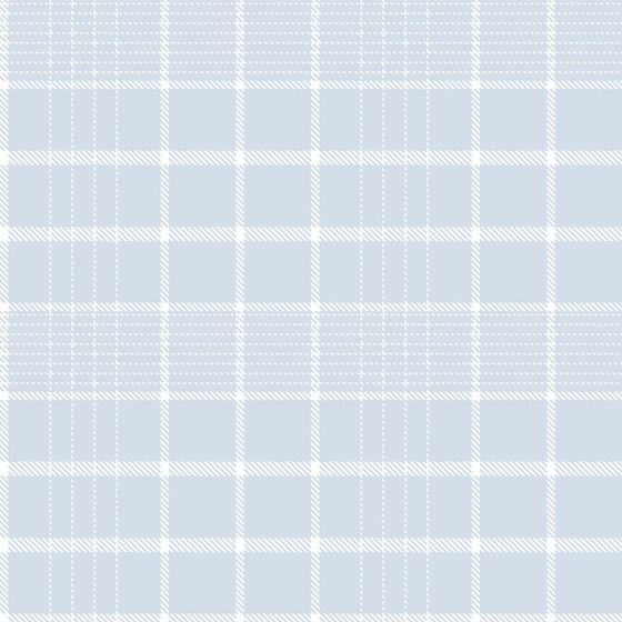 Plaid Carpet 3D Model – Light Blue Tartan Design