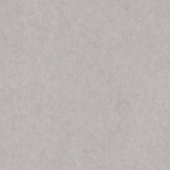 Urban Concrete Wall Texture 3D model